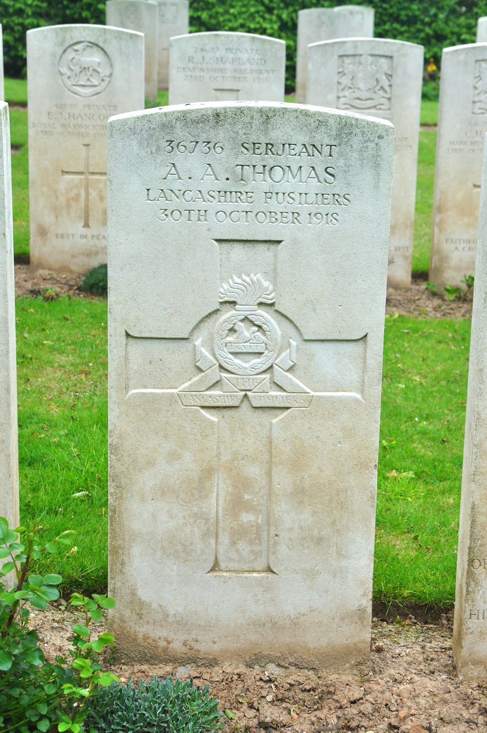 The Yorkshire Regiment War Graves
