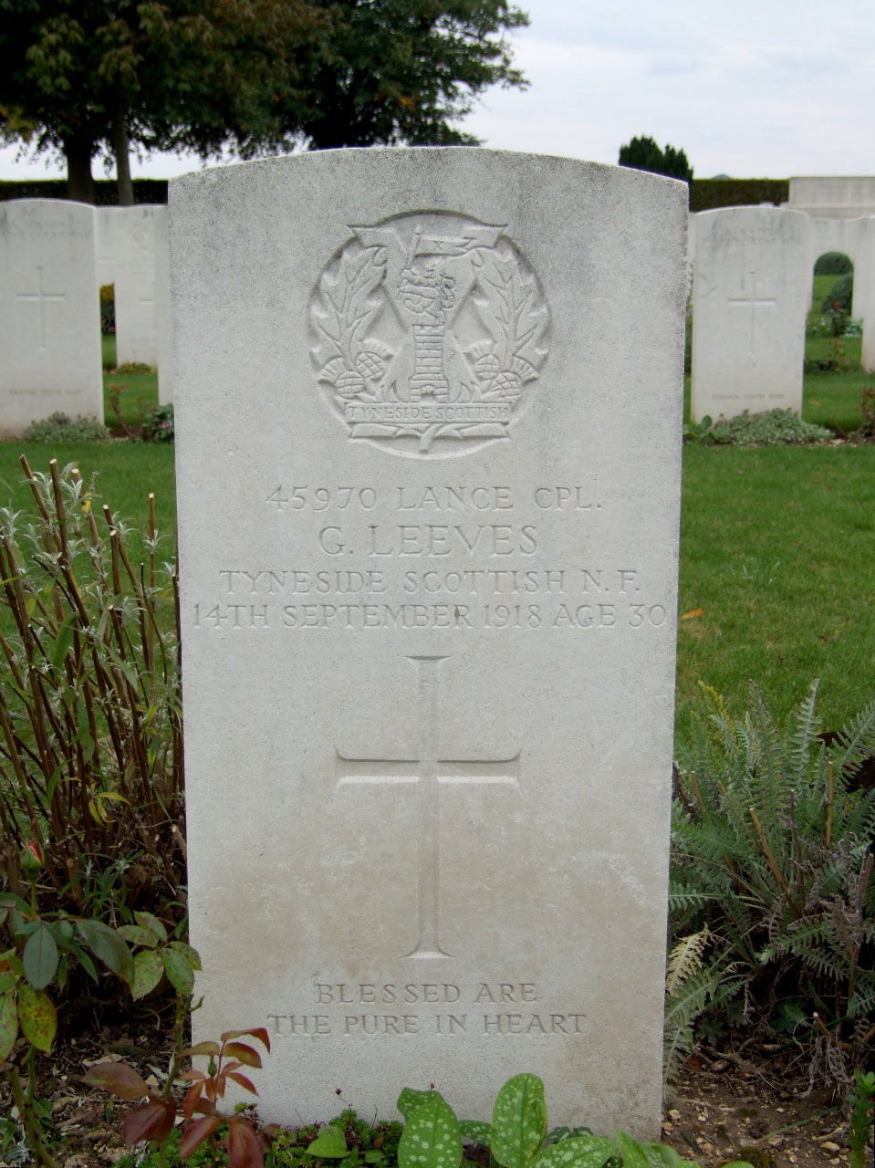 The Yorkshire Regiment War Graves