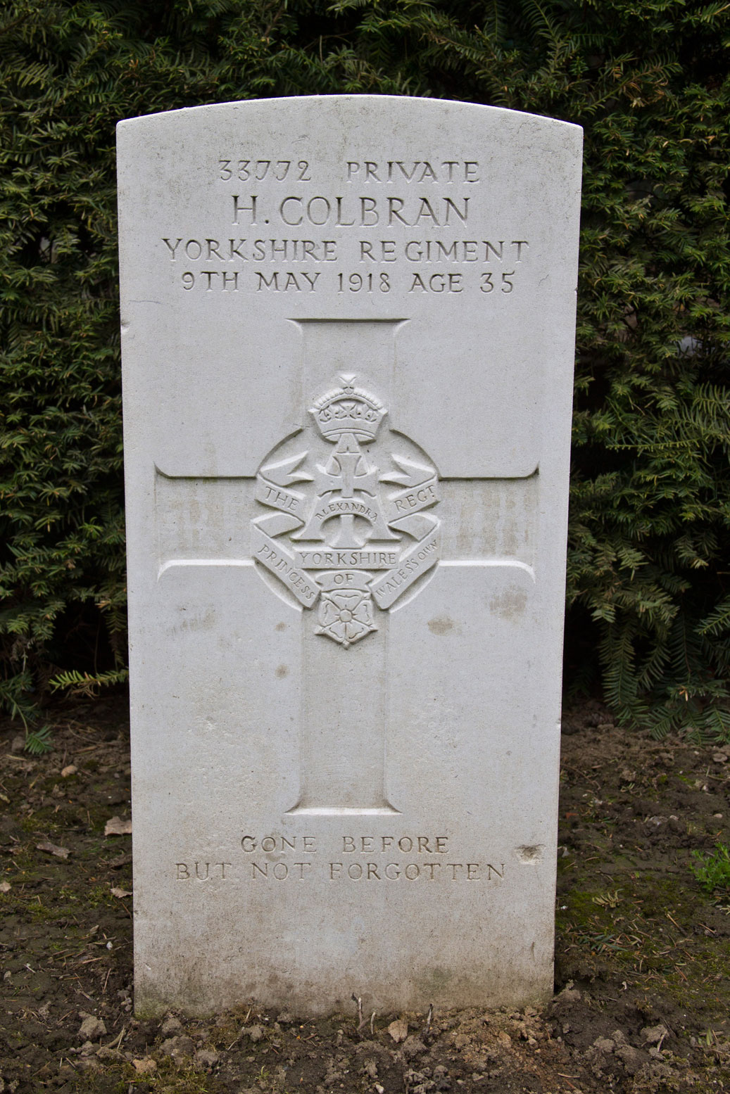 The Yorkshire Regiment War Graves