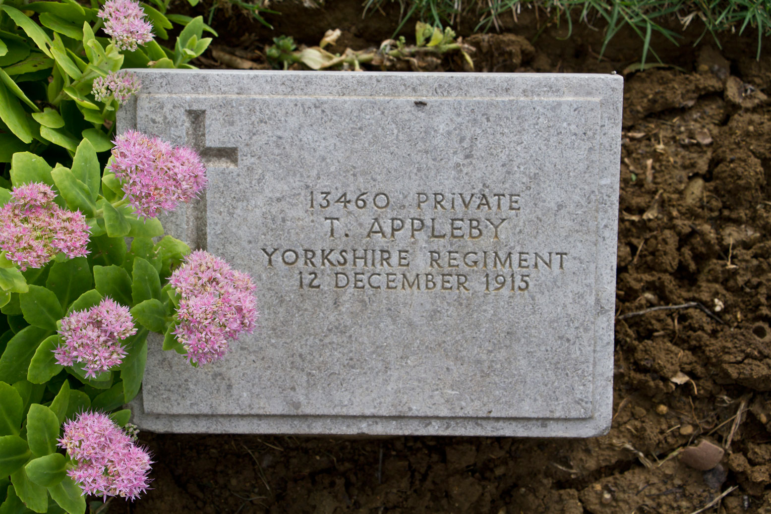 The Yorkshire Regiment War Graves