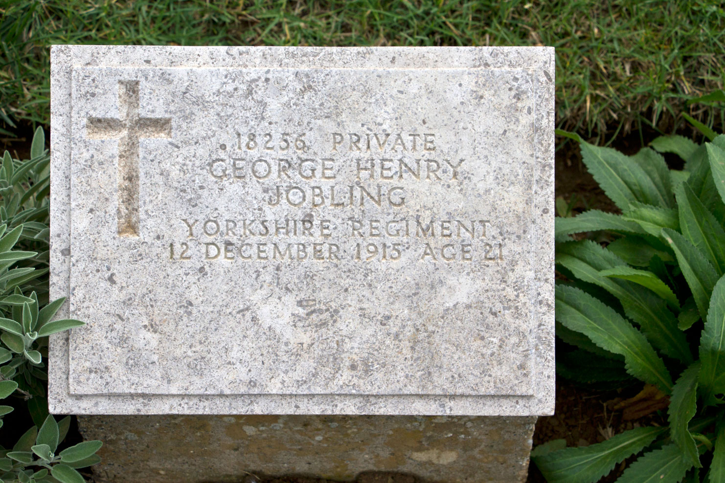The Yorkshire Regiment War Graves