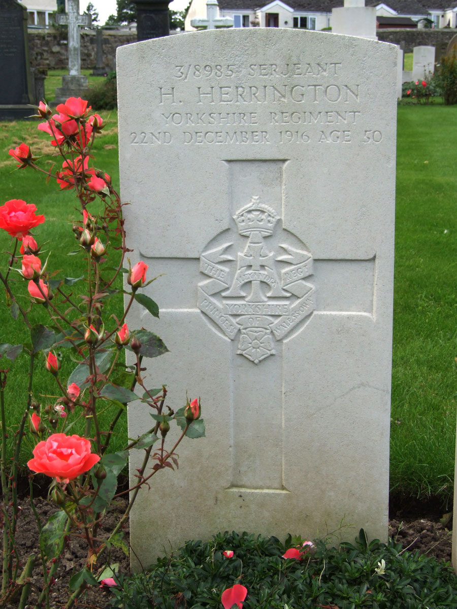 The Yorkshire Regiment, WW1 Remembrance - War Graves