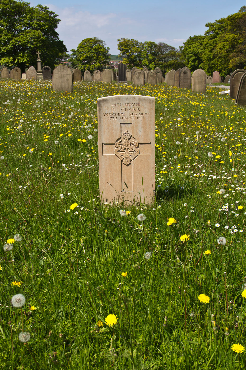 The Yorkshire Regiment, WW1 Remembrance - War Graves