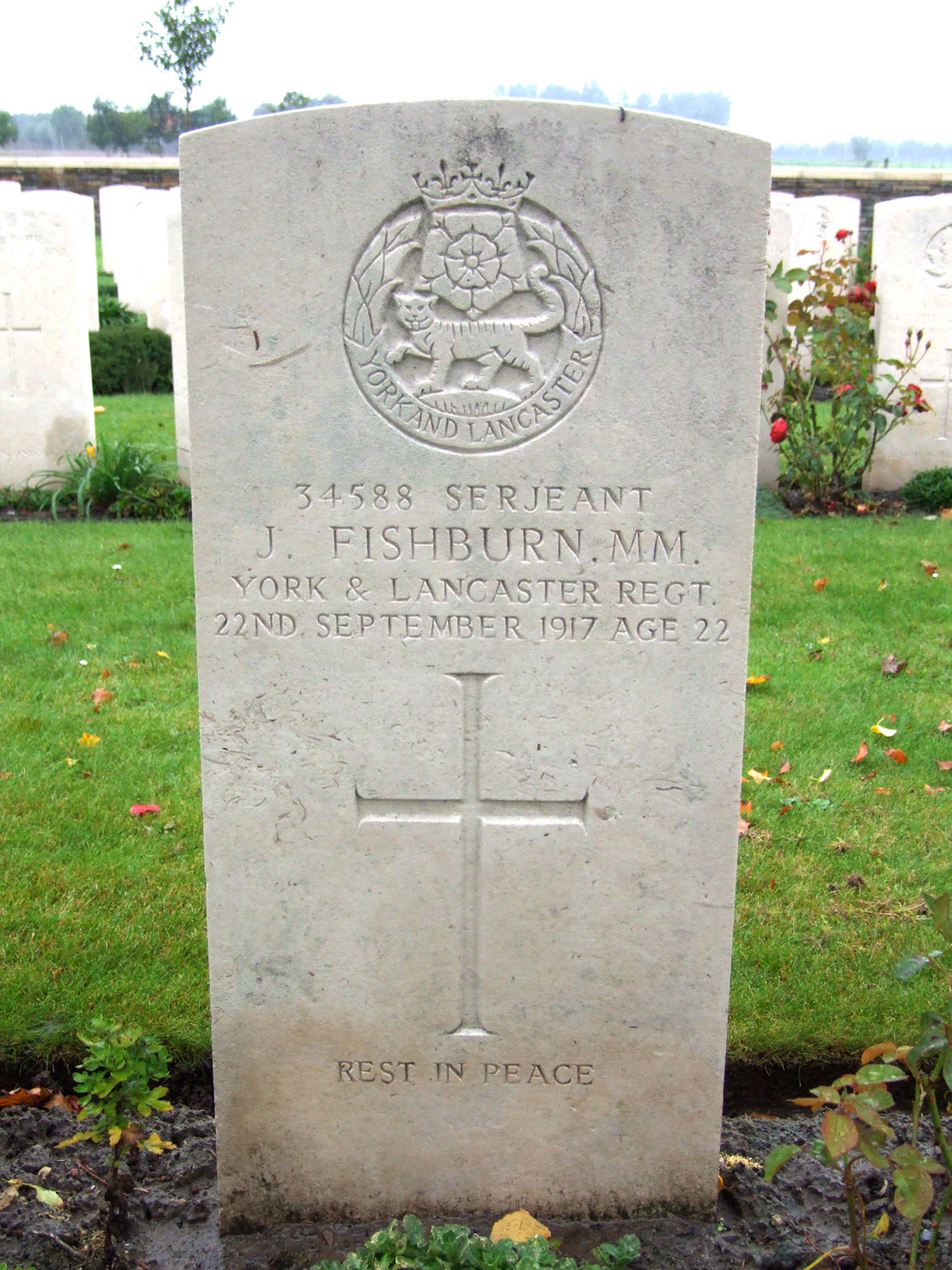 The Yorkshire Regiment War Graves