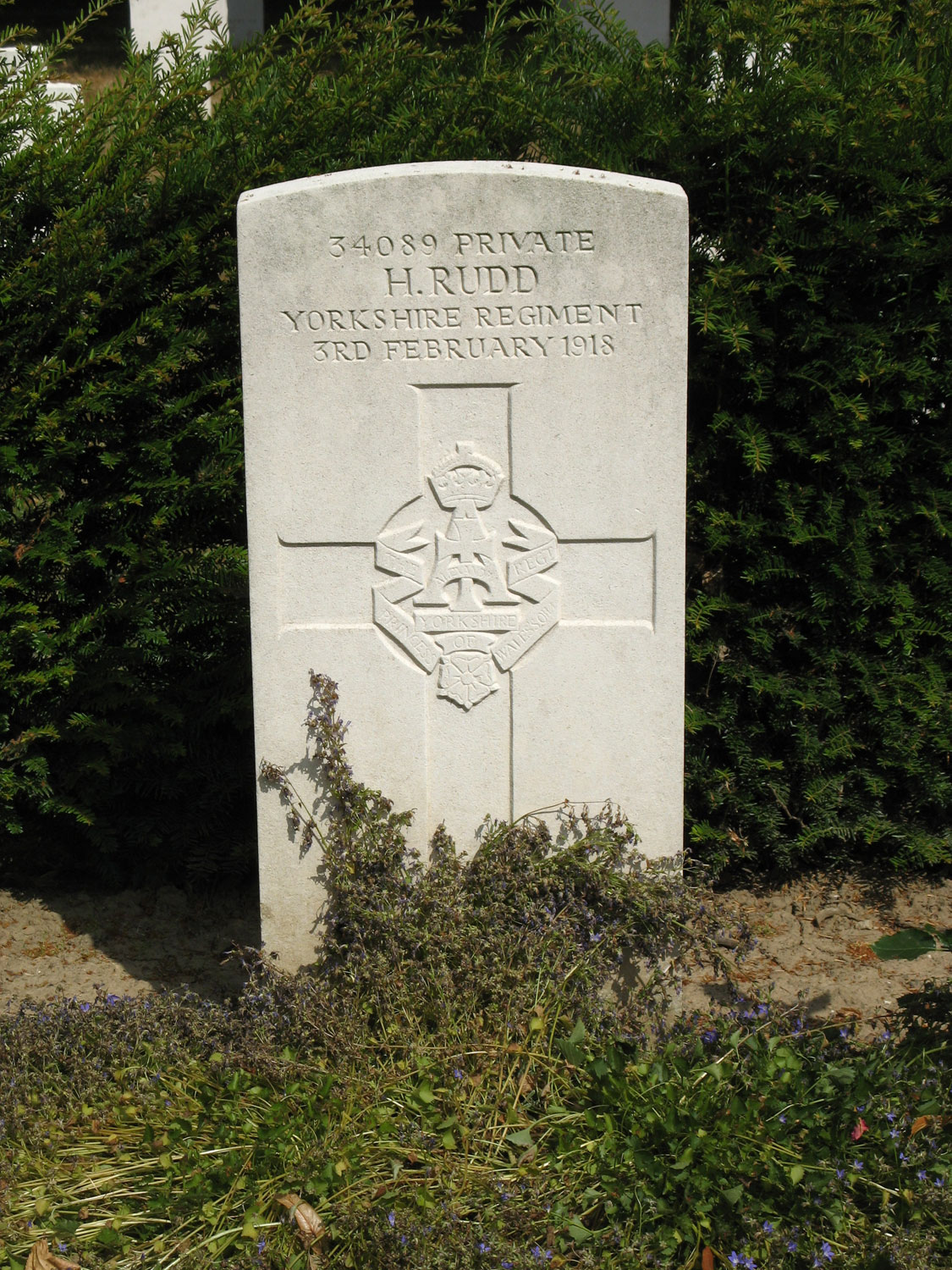 The Yorkshire Regiment War Graves
