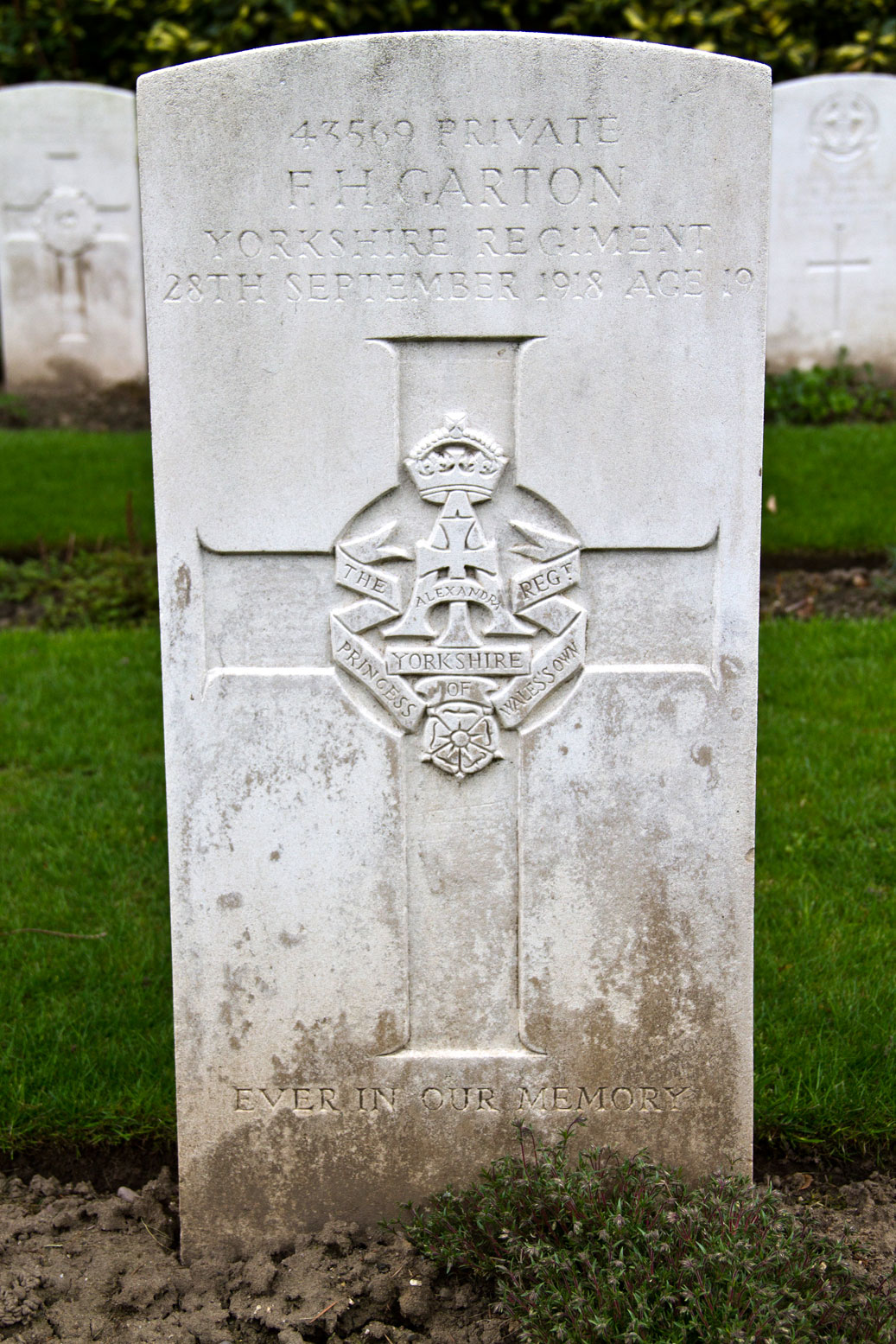 The Yorkshire Regiment War Graves