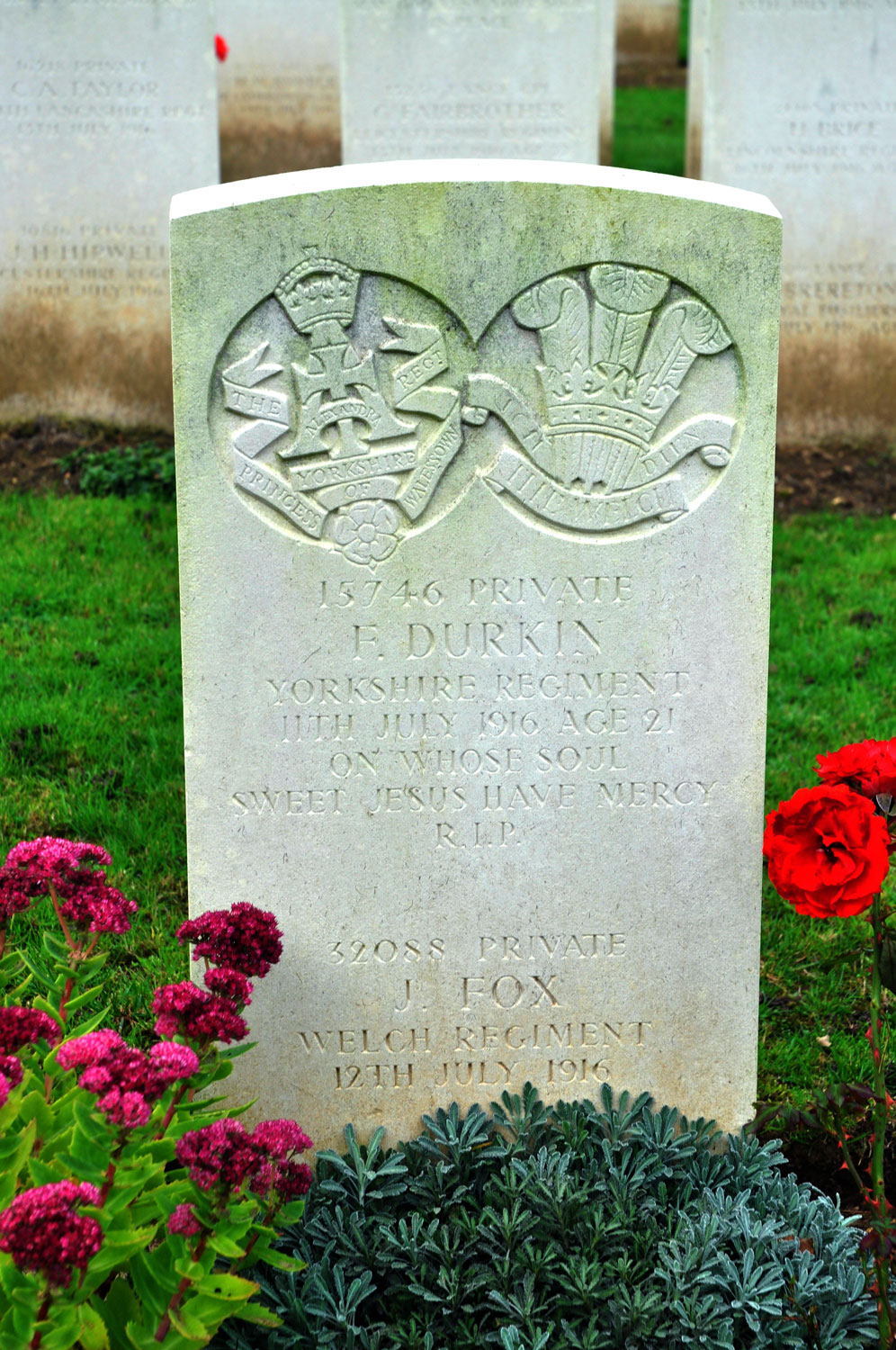 The Yorkshire Regiment War Graves