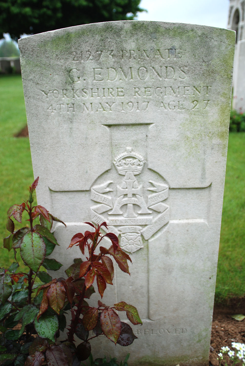 The Yorkshire Regiment War Graves
