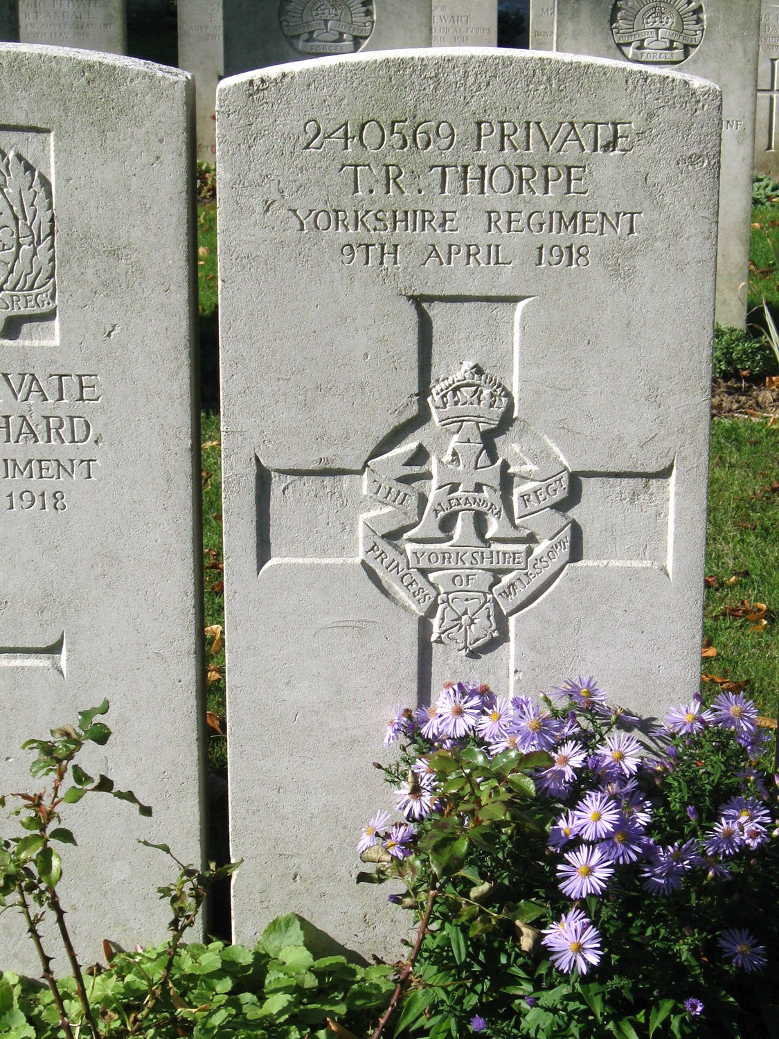 The Yorkshire Regiment War Graves