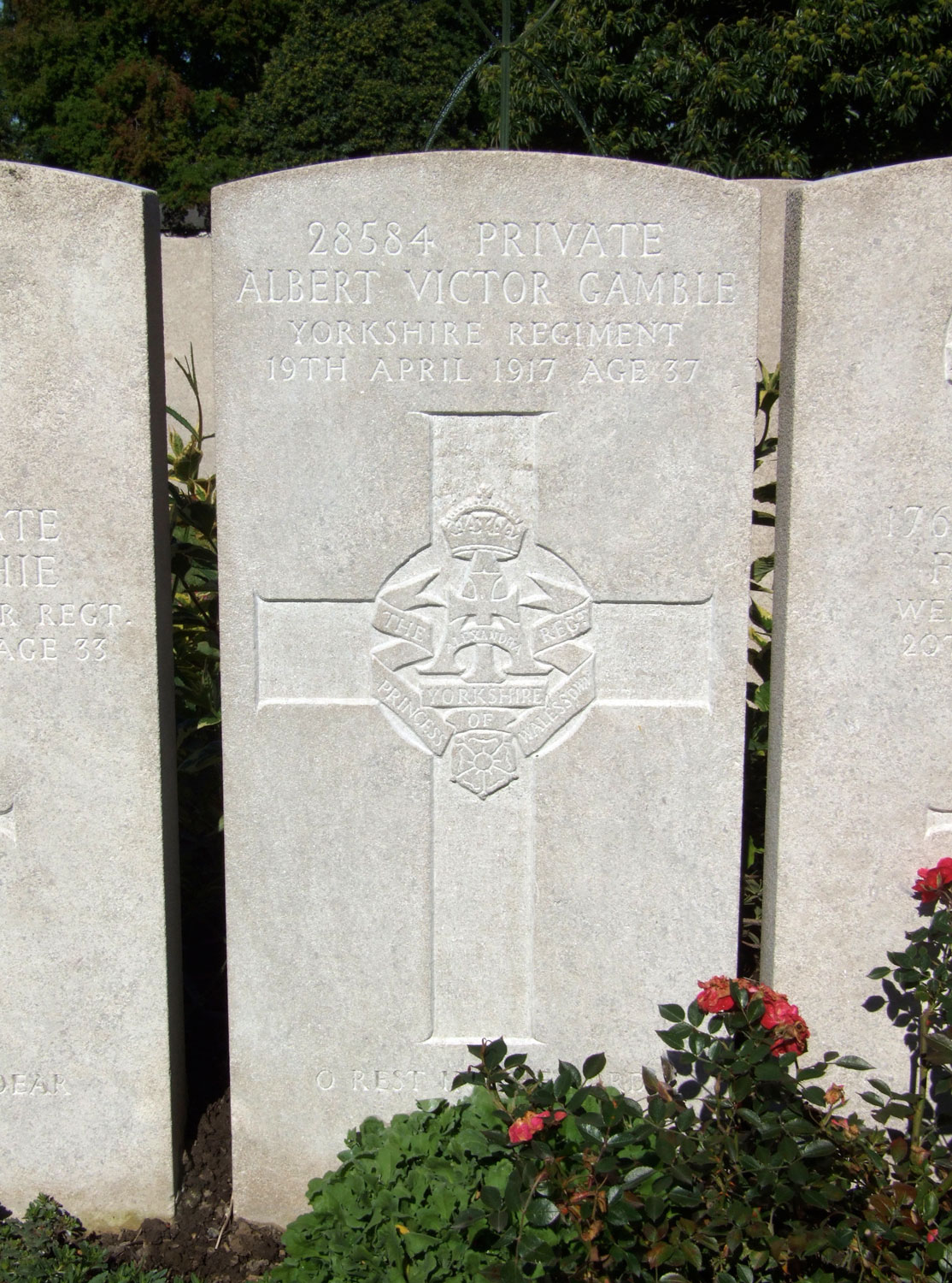 The Yorkshire Regiment War Graves