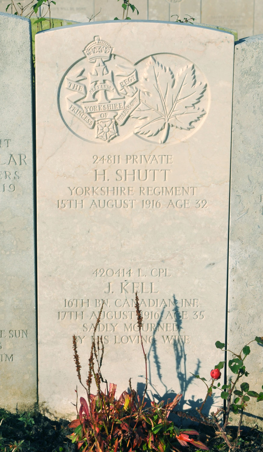 The Yorkshire Regiment War Graves