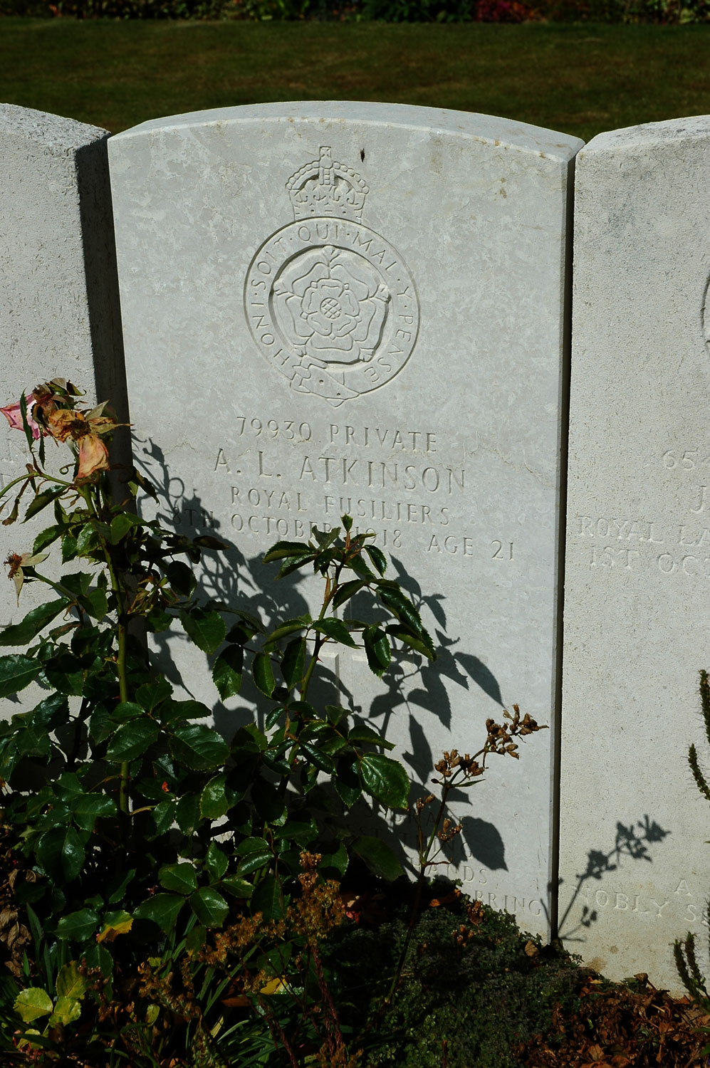 The Yorkshire Regiment War Graves