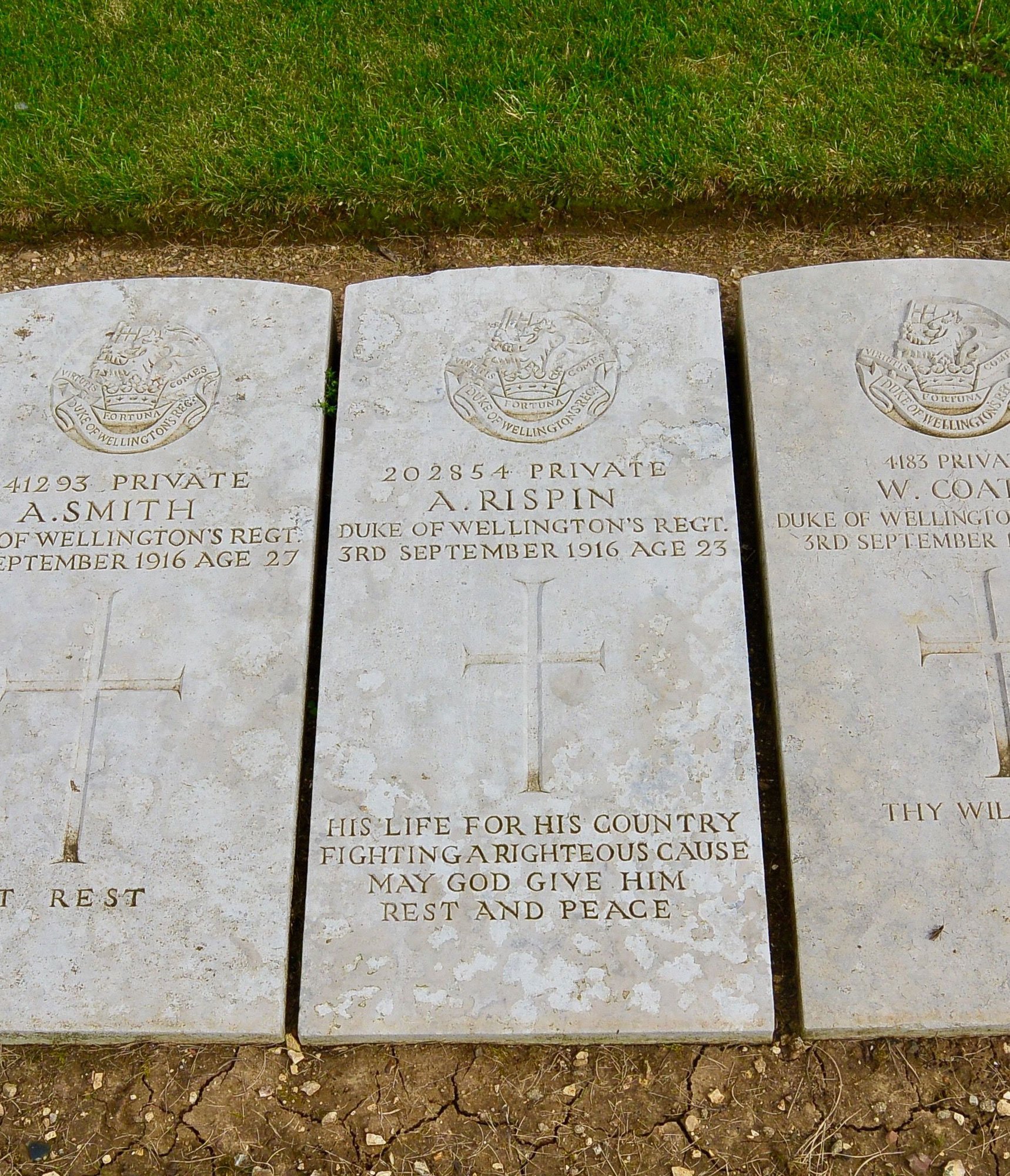 The Yorkshire Regiment War Graves