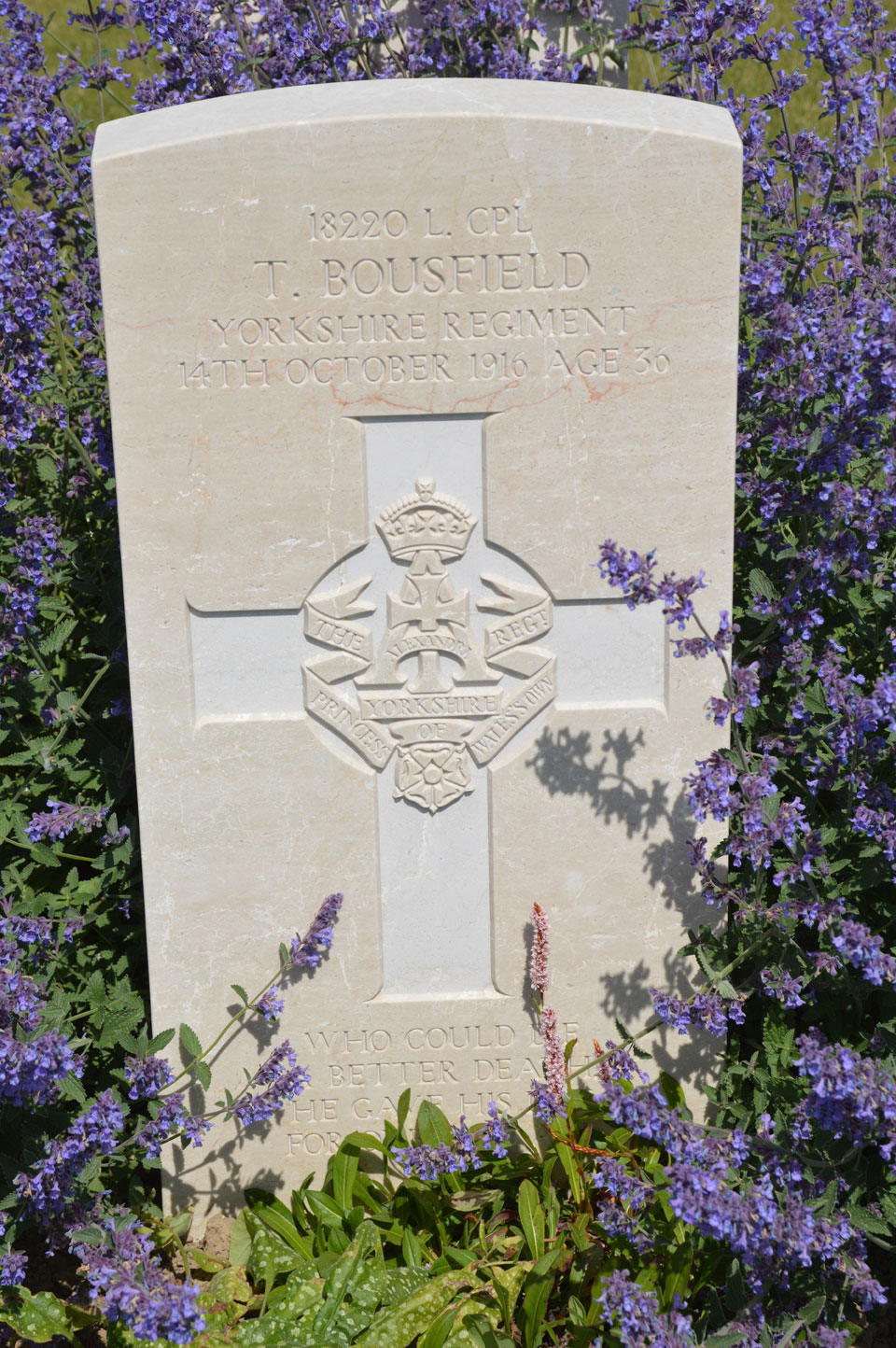 The Yorkshire Regiment War Graves