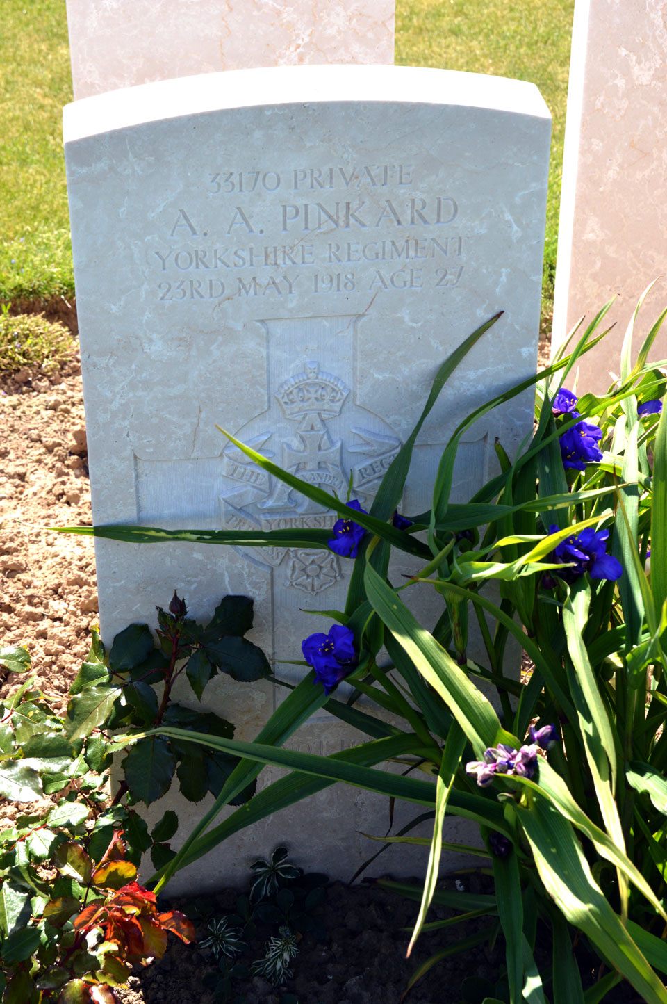 The Yorkshire Regiment War Graves