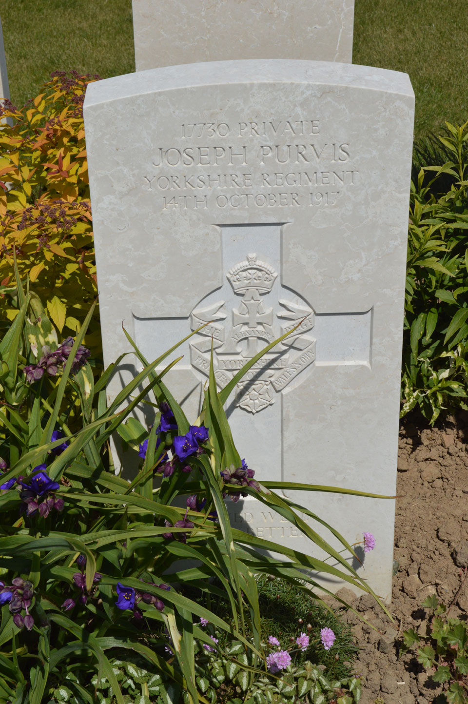 The Yorkshire Regiment War Graves