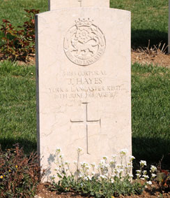 The Yorkshire Regiment War Graves
