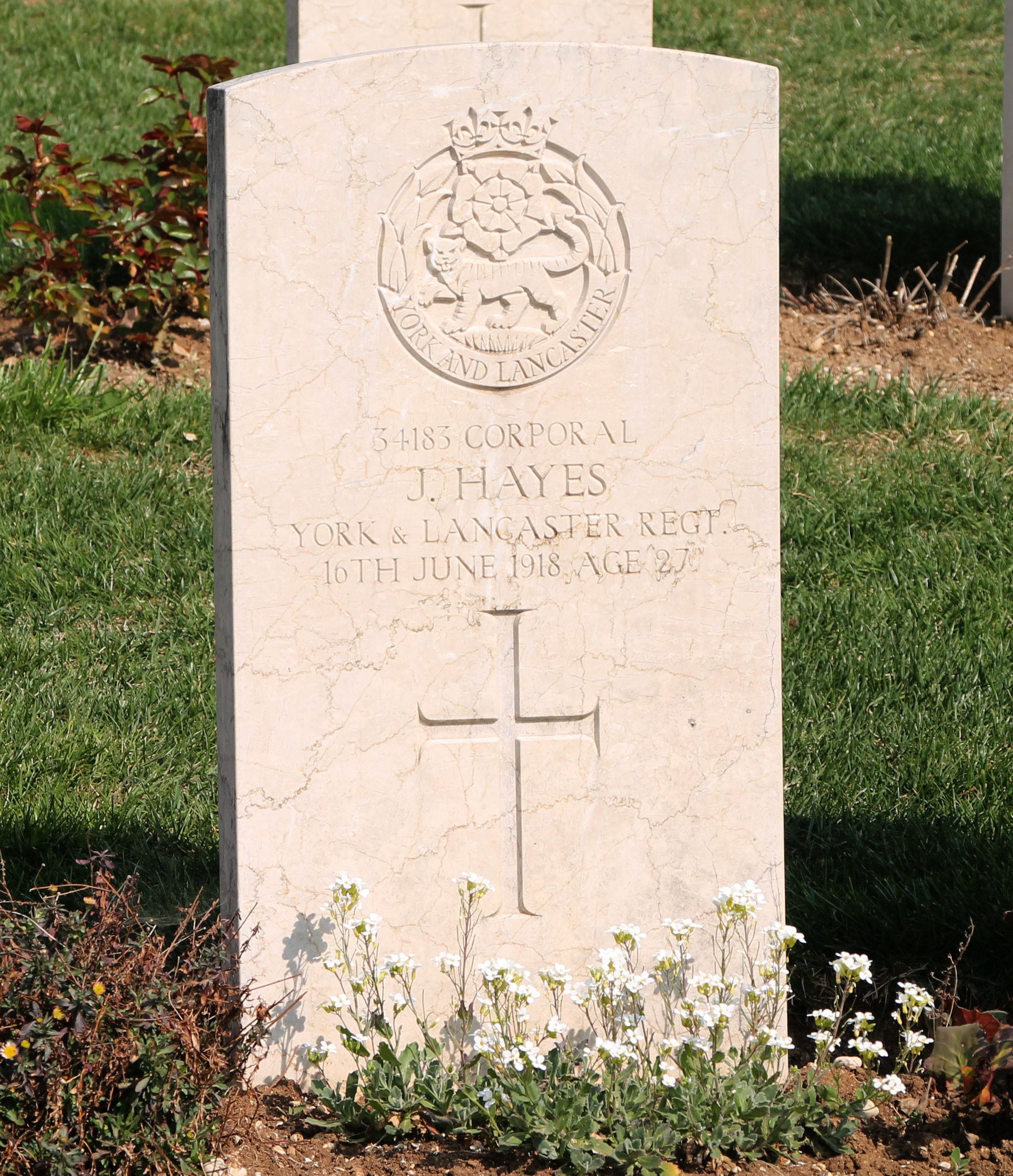 The Yorkshire Regiment War Graves