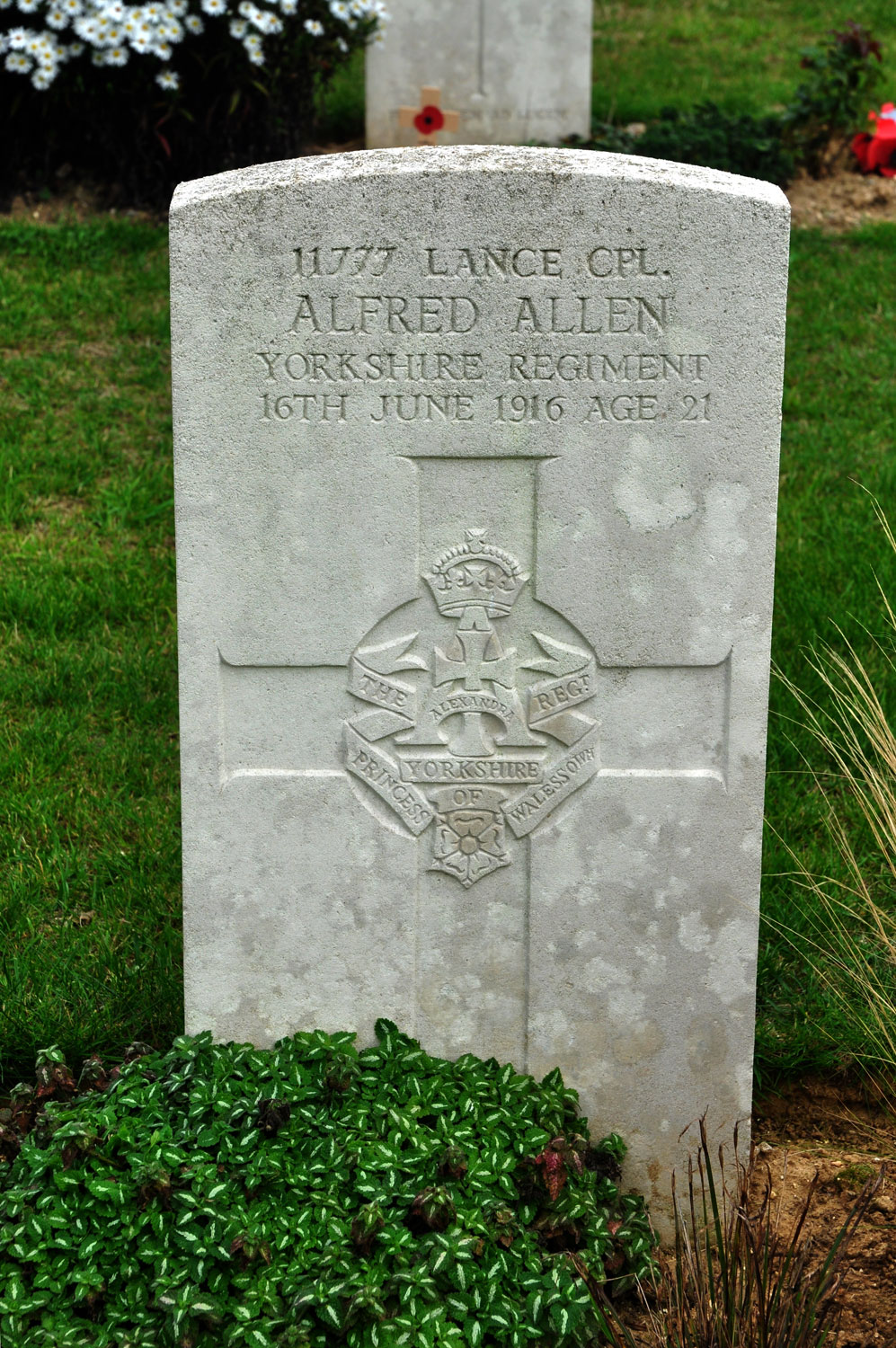 The Yorkshire Regiment War Graves