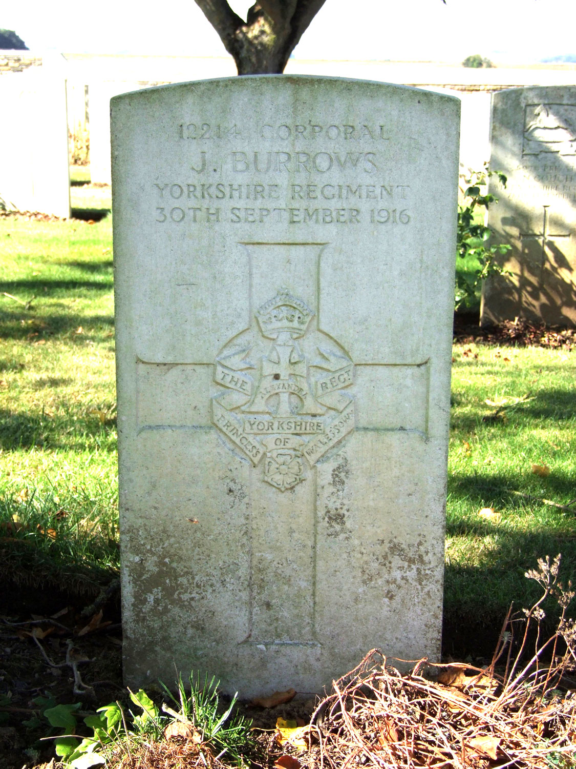 The Yorkshire Regiment War Graves