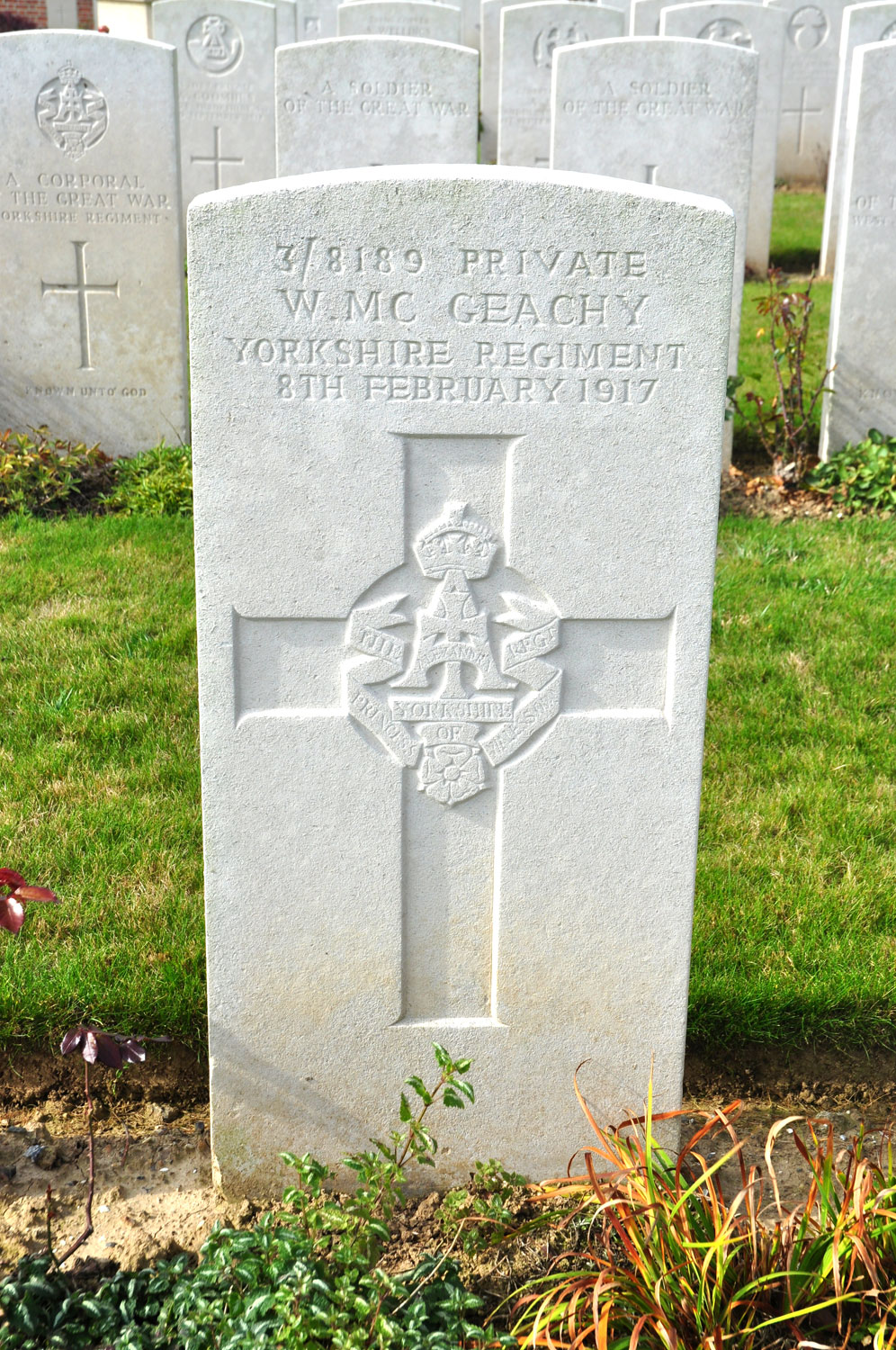 The Yorkshire Regiment War Graves