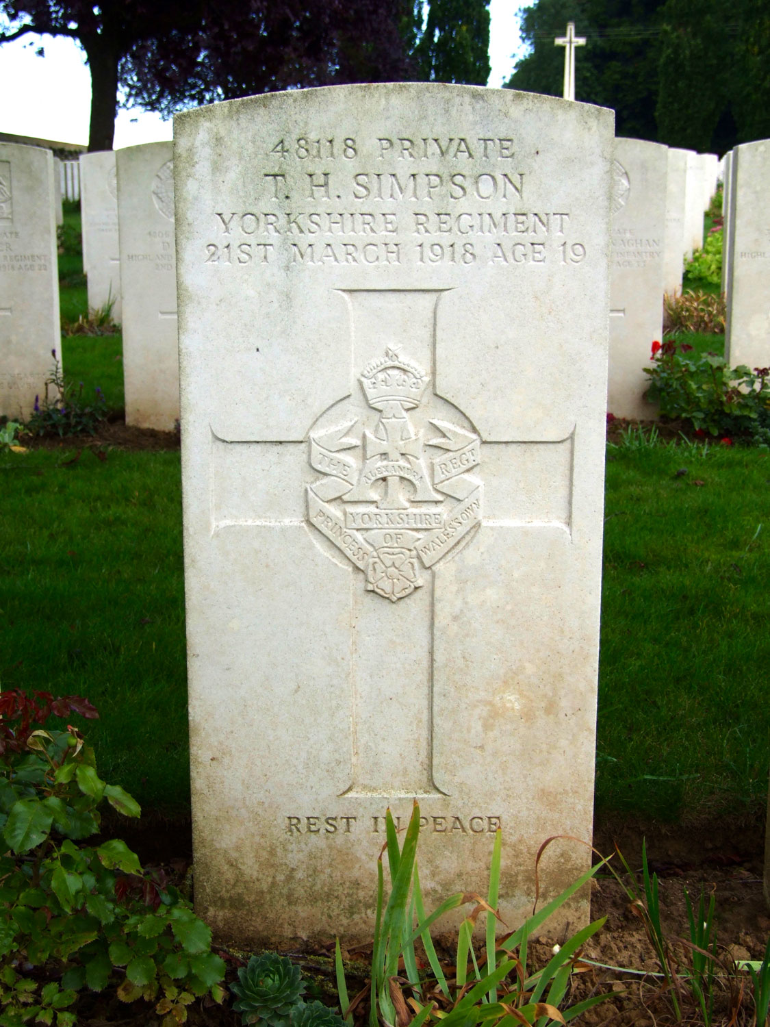 The Yorkshire Regiment War Graves
