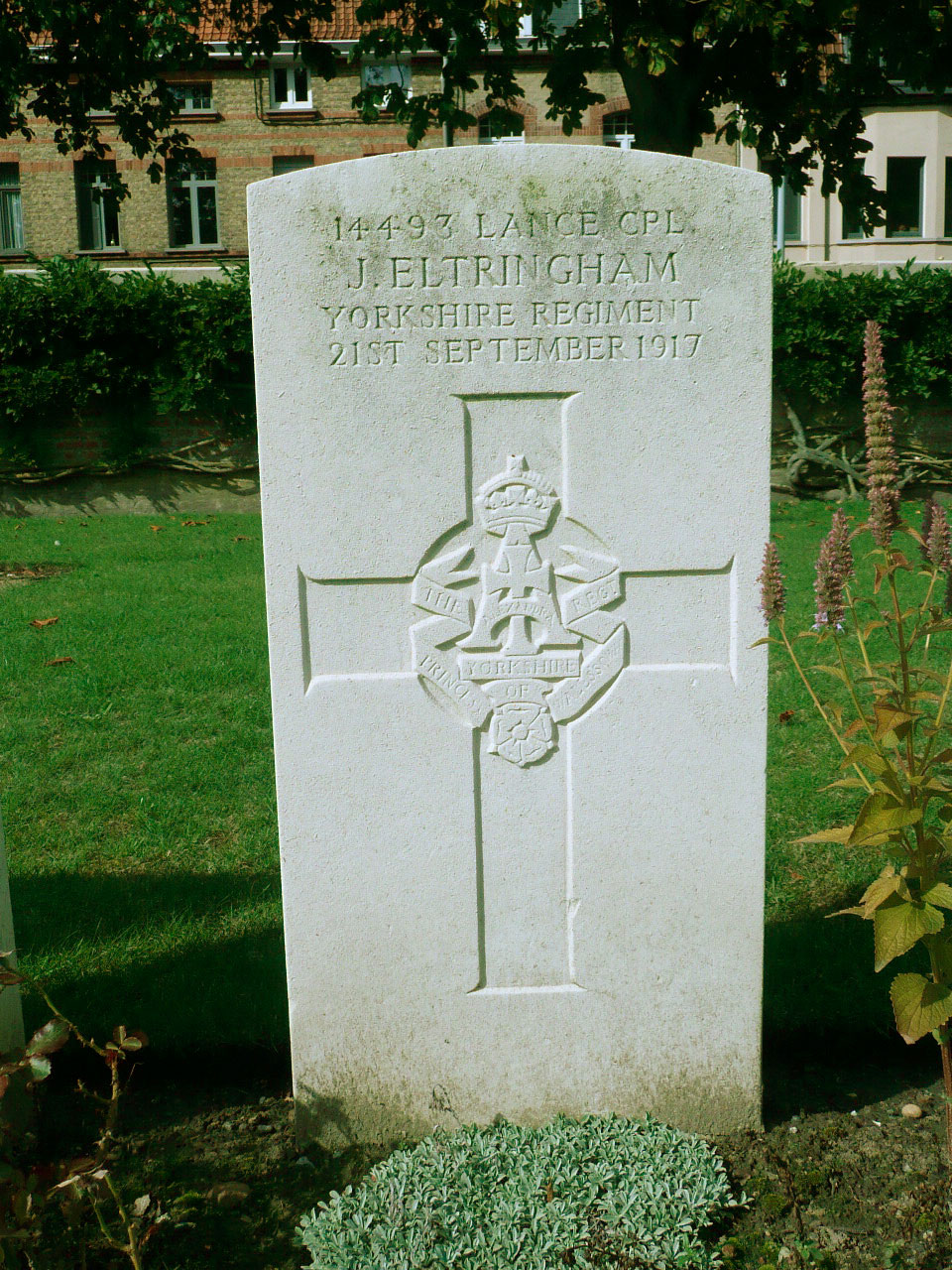 The Yorkshire Regiment War Graves